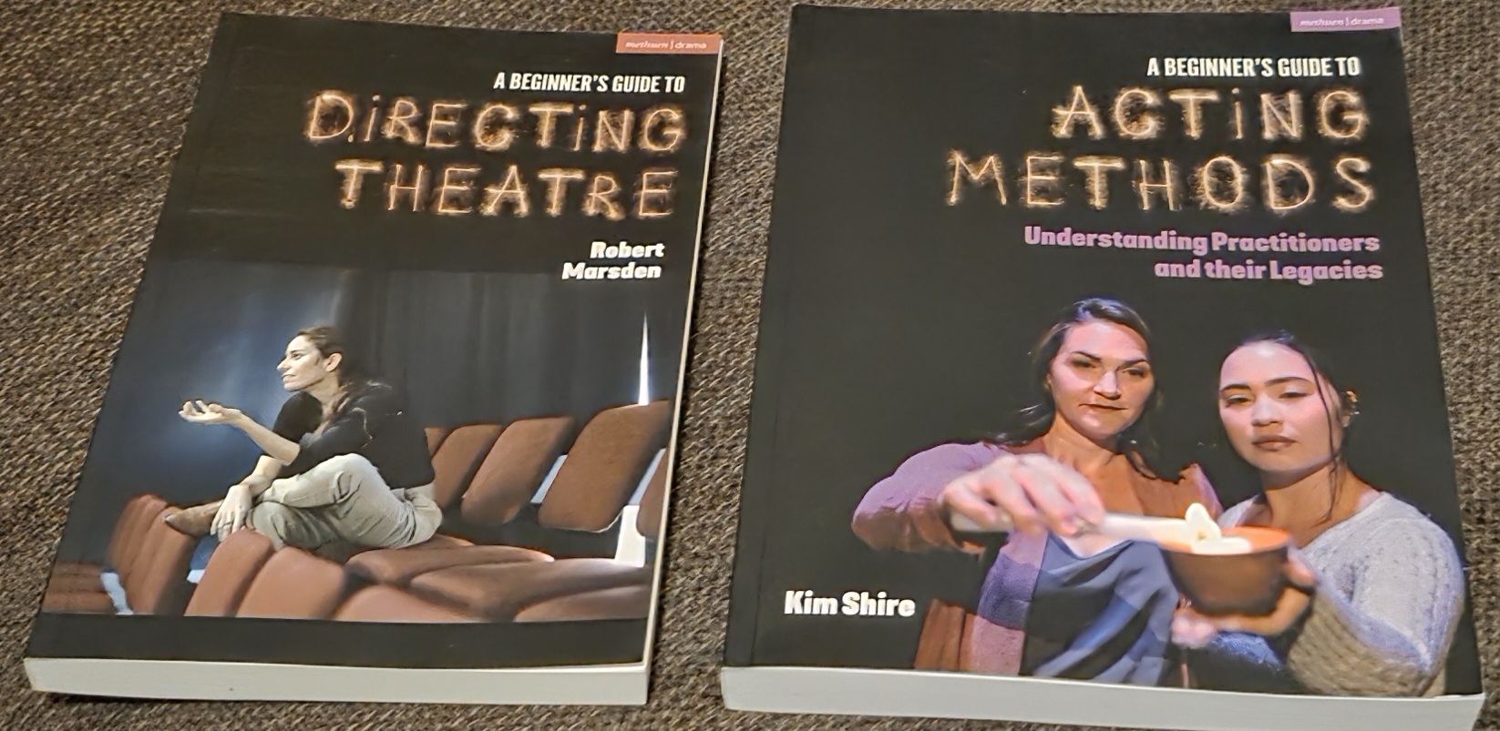 Book review: A Beginner's Guide to Acting Methods/Directing Theatre ...